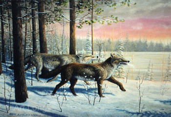 Prints & Paintings - Art Long, Artist of the North